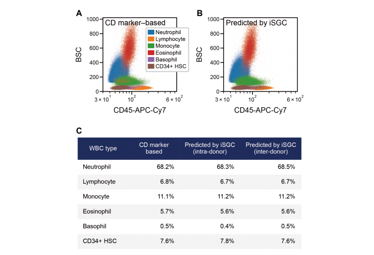 非標識の細胞形態情報をAIで高速に判別し、目的細胞を分取する技術を開発 - ThinkCyte